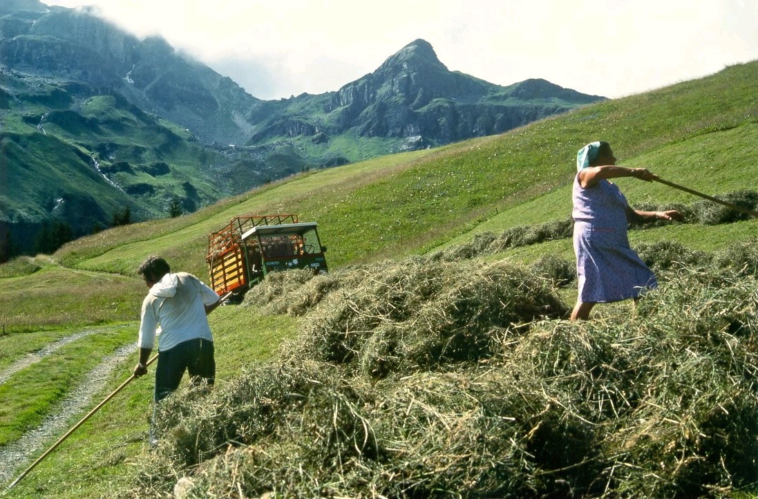 Swiss Agriculture | AGRAR REISEN | Image Gallery | ATOI