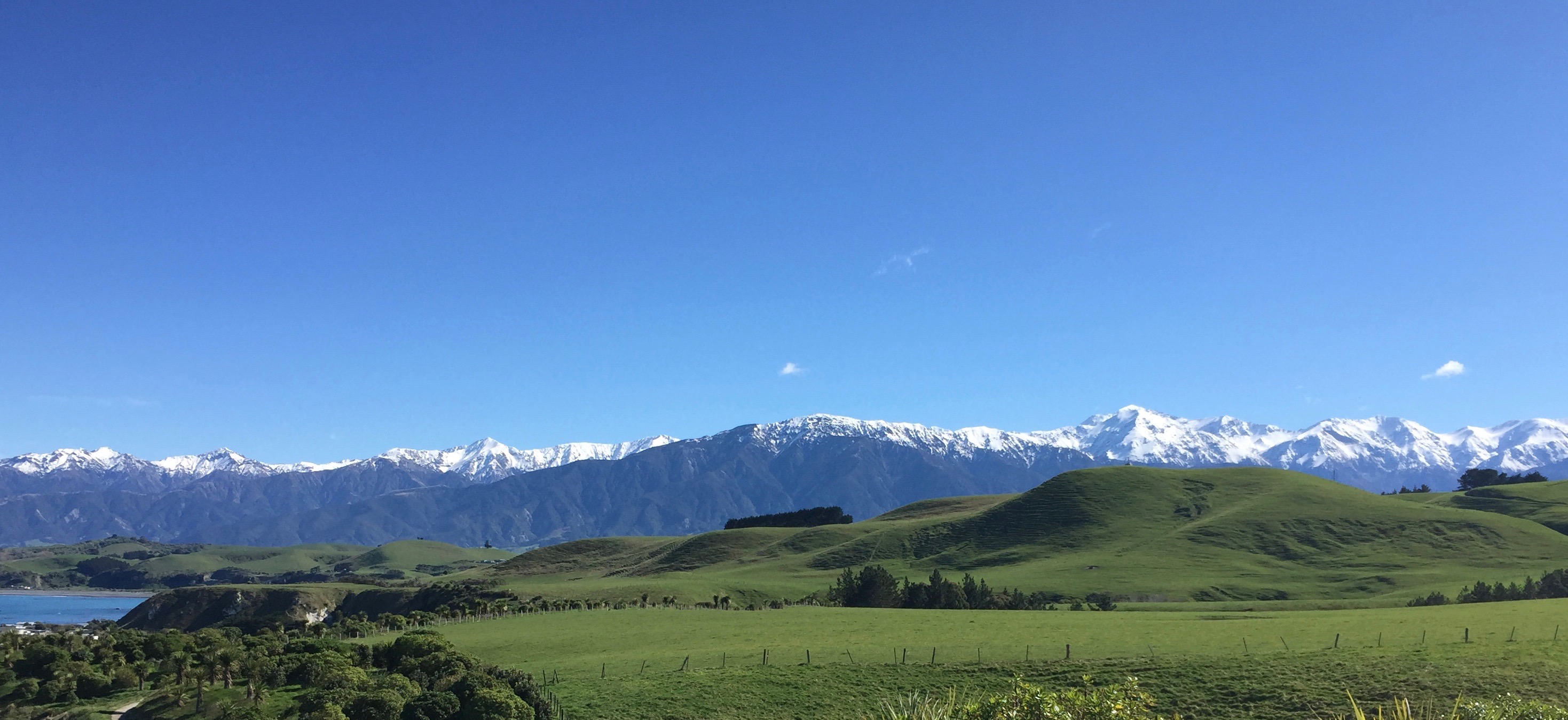 New Zealand Farming | FARM TO FARM TOURS | Image Gallery | ATOI